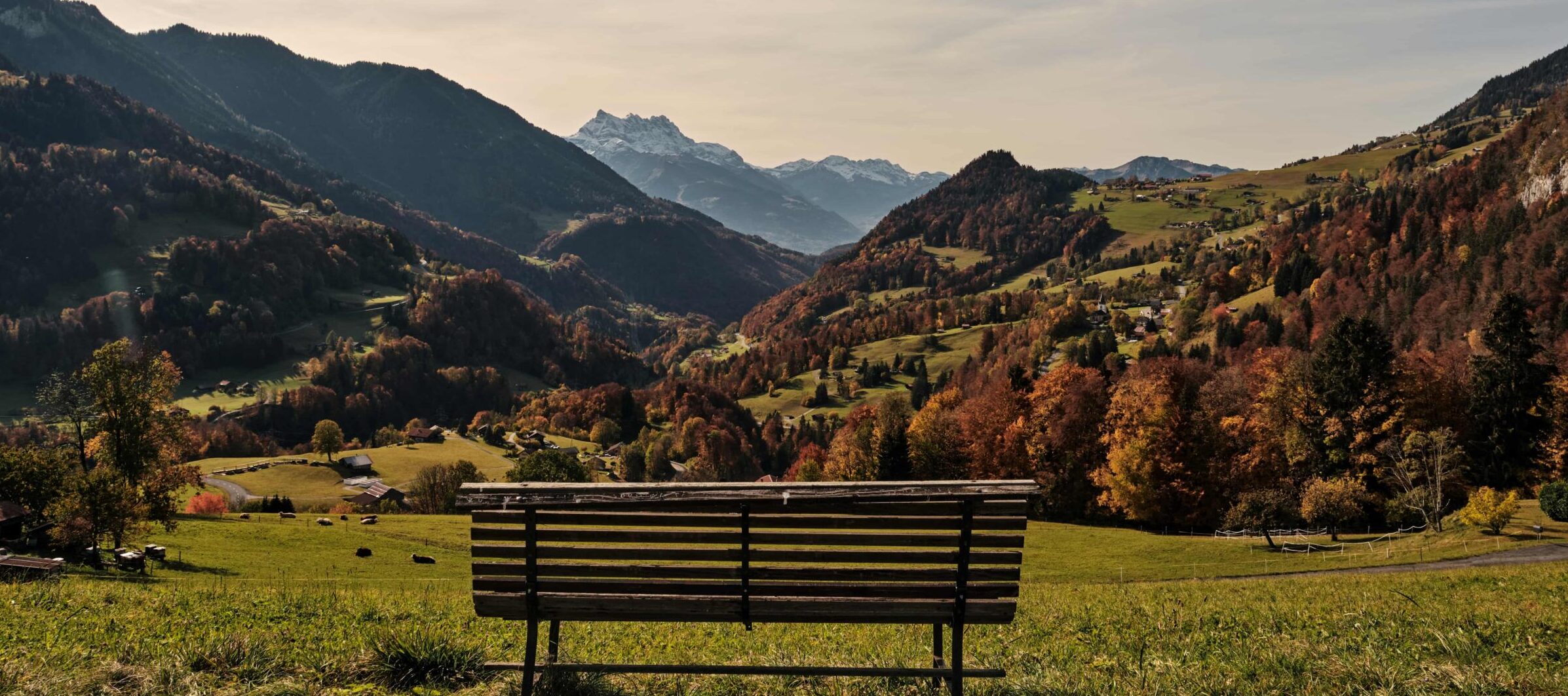 Vaud.ch - Un réseau au service du canton