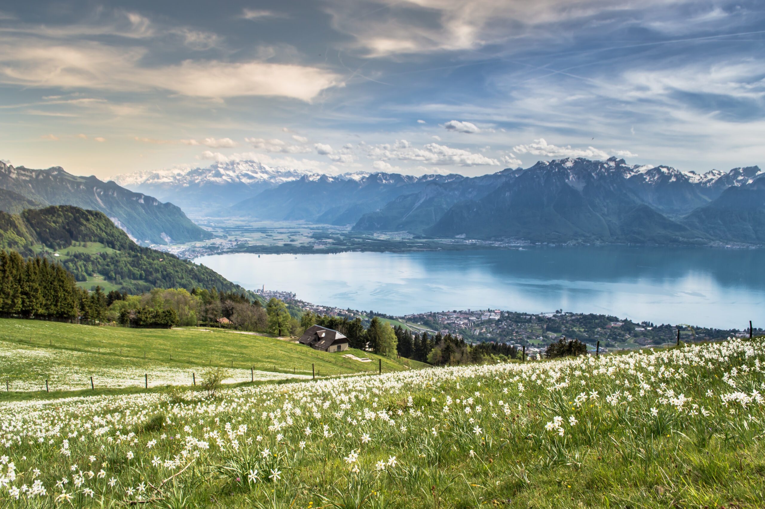 Vaud.ch, le meilleur du Canton de Vaud, ça commence ici